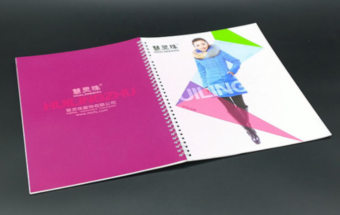 Flexo A3 Flyer Printing Instruction Booklet Printing Bi Fold Brochure