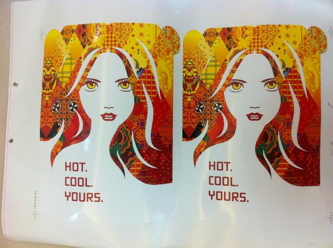 CMYK Matte Silver Polyester Label Sticker Printing Offset